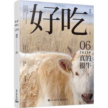 好吃06 9787121420276
