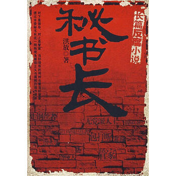 秘书长 洪放 著 新华出版社