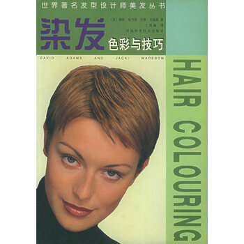 梁发色彩与技巧 杰基·韦德森 王西敏