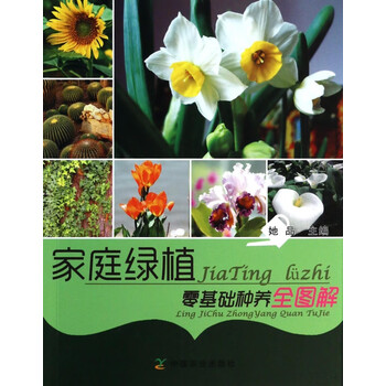 家庭绿植零基础种养全图解