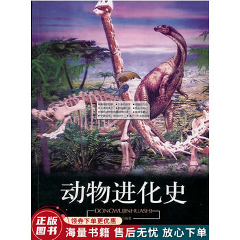 动物进化史
