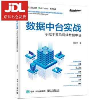 数据中台实战：手把手教你搭建数据中台 董超华 9787121393860