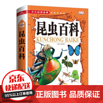 少儿金典·奇趣科普馆一昆虫百科（精装）儿童昆虫百科大全书 青少年课外昆虫百科知识大