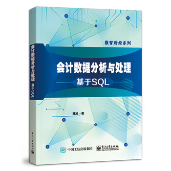 会计数据分析与处理：基于SQL