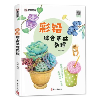 DS·墨点美术：彩铅综合基础教程9787554021842
