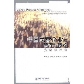 中国民营企业的管理和绩效(多学科视角)