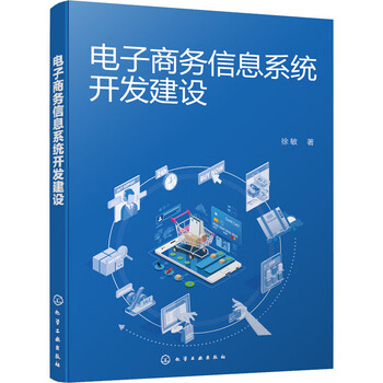 电子商务信息系统开发建设 图书