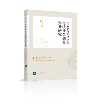青年亚文化批评话语研究 陈敏 知识产权出版社【正版图书】