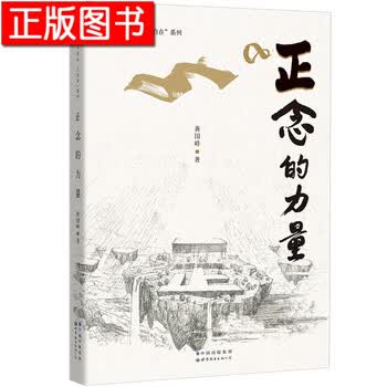 正念的力量  黄国峰“平常心，大自在”系列 心灵疗愈励志书 成功心理学 世图心理学