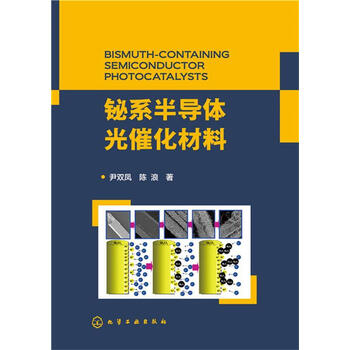 铋系半导体光催化材料 尹双凤,陈浪