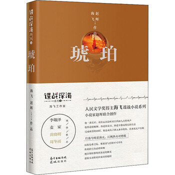 琥珀 海飞,赵晖 著 历史 wx