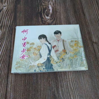 上美大精 啊，少男少女 连环画小人书 32开大精 胡博综 绘 上海人民美术出版社