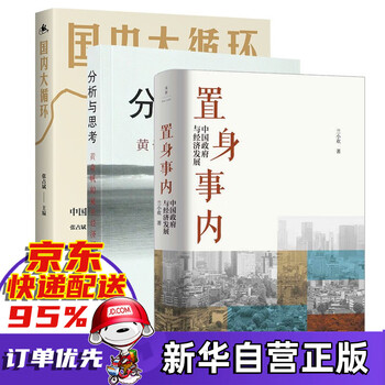 【现货速发】置身事内 中国政府与经济发展 兰小欢著 +分析与思考+国内大循环【中国经济系列书3册】