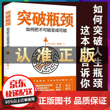 突破瓶颈 如何把不可能变成可能 书籍
