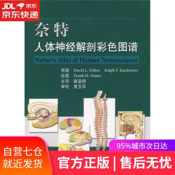 【正版图书】奈特人体神经解剖彩色图谱