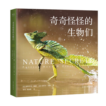 奇奇怪怪的生物们（神奇动物在这里！枯叶壁虎，巨型松鼠，海中蝴蝶…百余种珍稀物种，大开眼界）