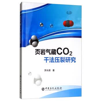 页岩气藏CO2干法压裂研究