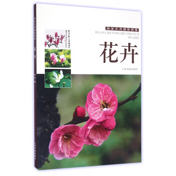 花卉(画家摄影图集)