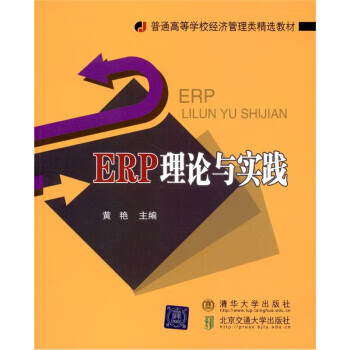 ERP理论与实践 9787512106376