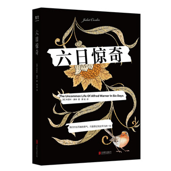六日惊奇：仿如《一个人的朝圣》+《活着》，书写时代大背景中小人物的人生悲喜。