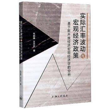 实际汇率波动与宏观经济政策(基于新开放经济宏观经济学的分析)