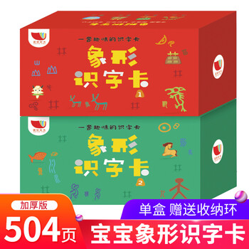 识字卡3000字幼儿园启蒙认字书2-3-6岁宝宝看图认字儿童早教卡片 红盒504页