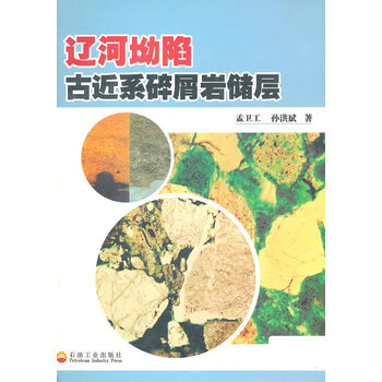 辽河坳陷古近系碎屑岩储层【正版图书】