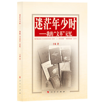 迷茫年少时——我的“”记忆【正版图书】