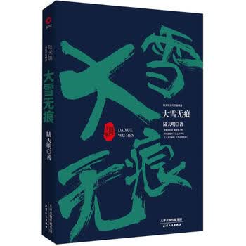 大雪无痕 陆天明 天津人民出版社【正版图书】