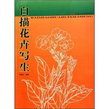 白描花卉写生