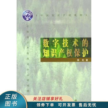 数字技术的知识产权保护 薛虹