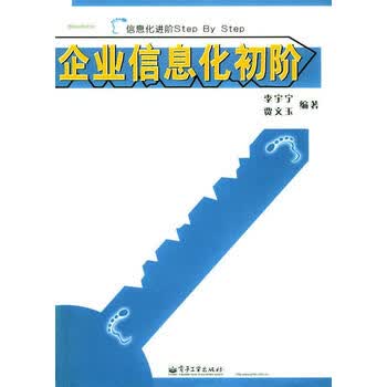 企业信息化初阶 李宇宁,贾文玉 编著