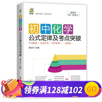 初中化学基础知识及考点突破