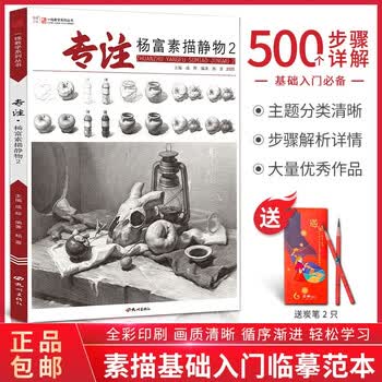 专注杨富素描静物2一线教学单体组合静物步骤解析临摹结构大关系完整对照美术高联考教材美院教程范本画册书