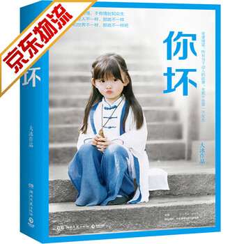 【系列自选】大冰的书全套单本 大冰系列作品 你坏