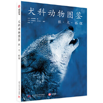 犬科动物图鉴：狼 犬 狐狸