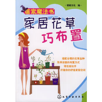 居家魔法书--家居花巧布置【正版图书】