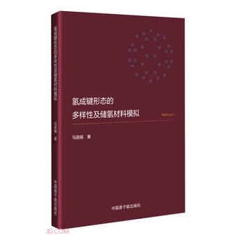 氢成键形态的多样性及储氢材料模拟