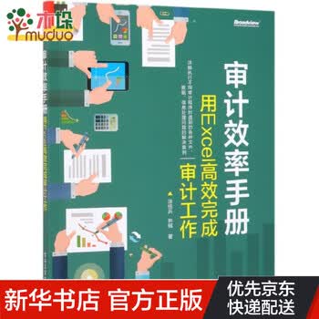 审计效率手册(用Excel高效完成审计工作)