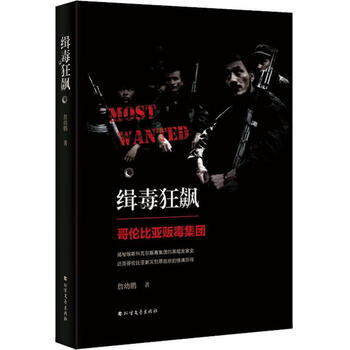 缉毒狂飙 詹幼鹏 北方文艺出版社【正版图书】