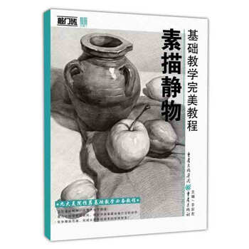 正版基础教学完美教程素描静物 敲门砖素描基础入门水果蔬菜陶瓷塑料单体静物结构训练临摹范本 重庆亿卷 联考校考美术教程教材书