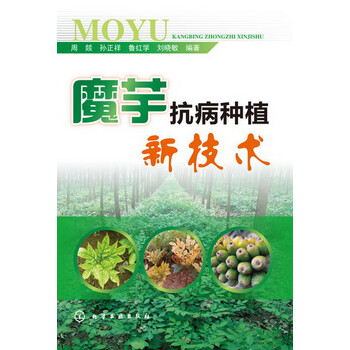 魔芋抗病种植新技术【正版图书】
