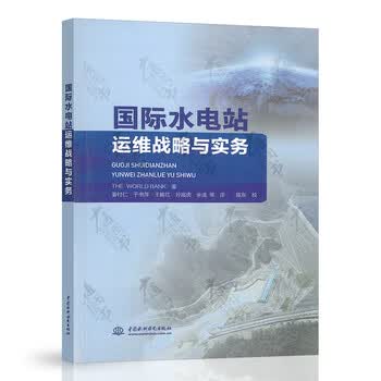 国际水电站运维战略与实务