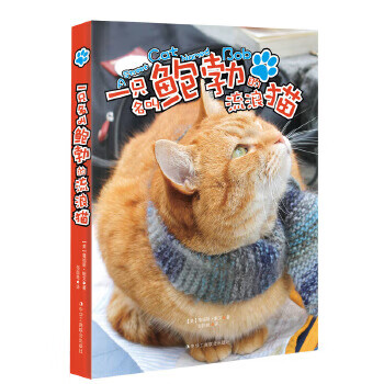一只名叫鲍勃的流浪猫