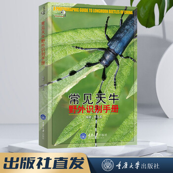 重庆大学科普书籍好奇心书系野外识别手册12册常见蜻蜓爬行动物蜘蛛蘑菇鸟类蜗牛天牛蝴蝶昆虫植物南方野花识别手册探寻自然的奥秘 常见天牛野外识别手册