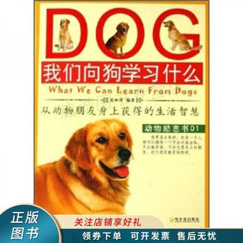 我们向狗学习什么 【上新】