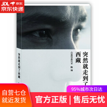 【正版图书】突然就走到了西藏