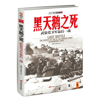 黑天鹅之死 武装党卫军后一战 陈星波（raingu