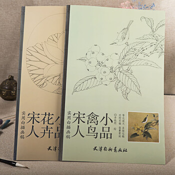 宋人禽鸟花卉小品 实用白描画稿 宋代花鸟国画绘画技巧白描底稿书 天津杨柳青画社