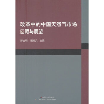 改革中的中国天然气市场:回顾与展望 刘鸿昌